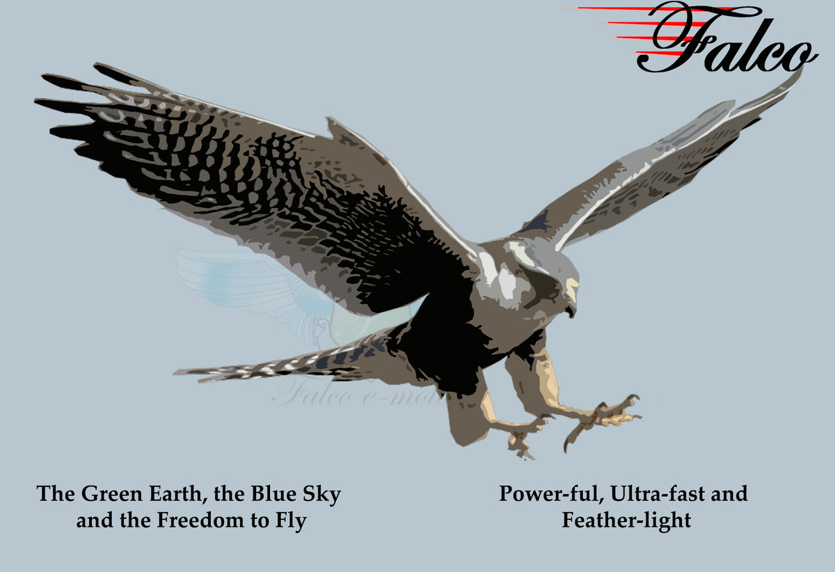 Falco eMotors Brand - What does it stand for? – Falco eMotors Inc.