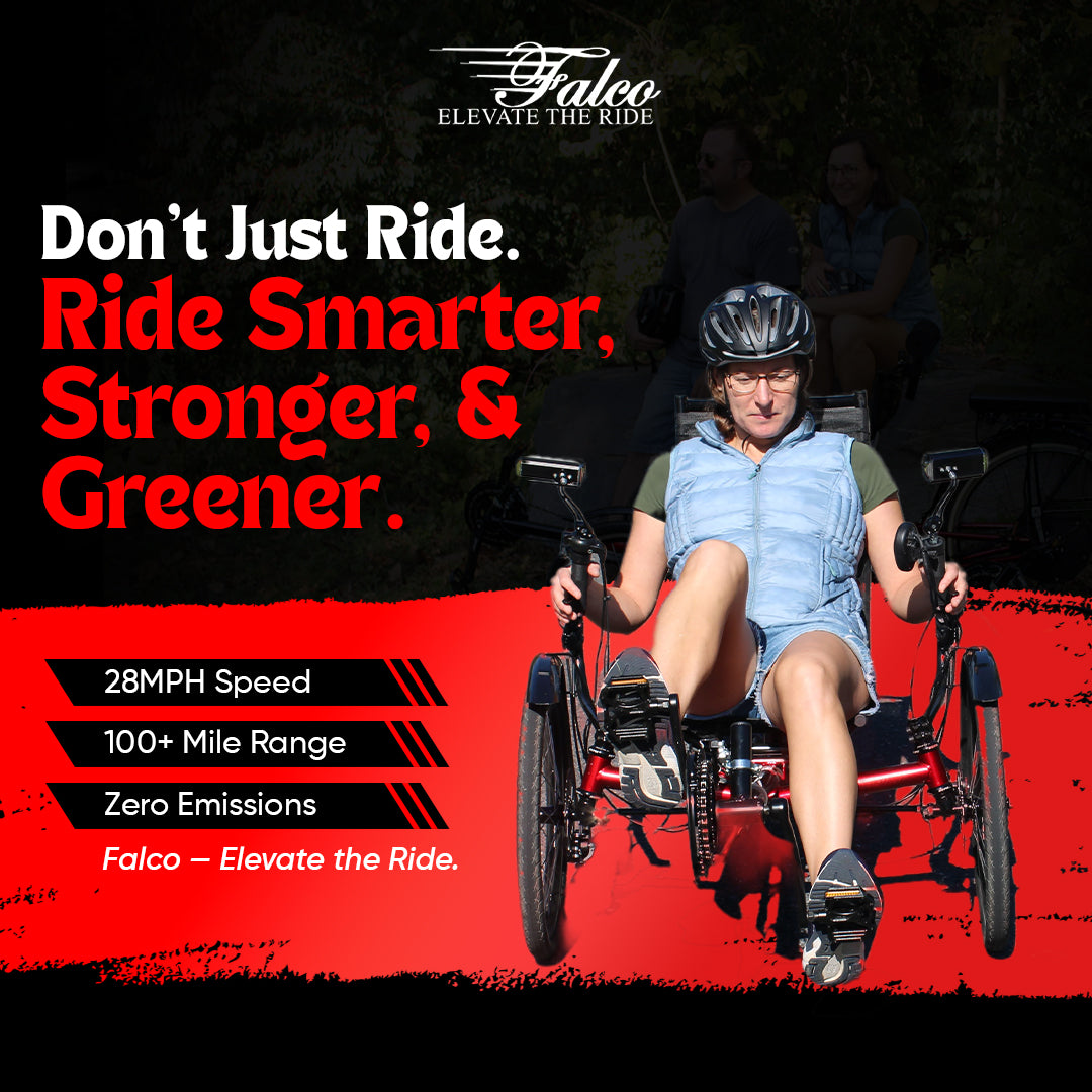 Three Wheels of Magic All Electric Recumbent Trike (Current Lead Time 6 ...