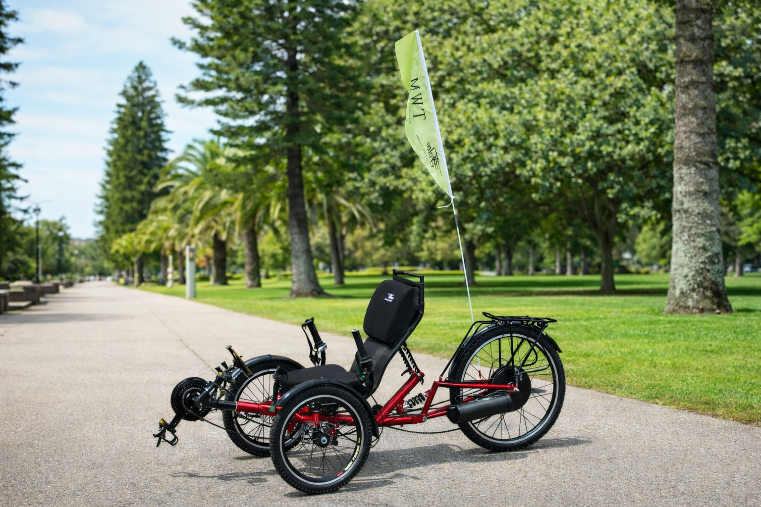 Three Wheels of Magic All Electric Recumbent Trike (Current Lead Time 6 ...